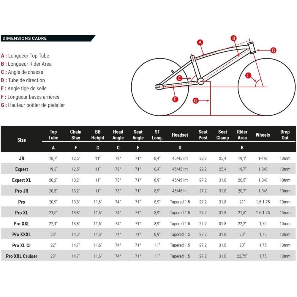 CADRE PURE V6 EXPERT XL 2022
