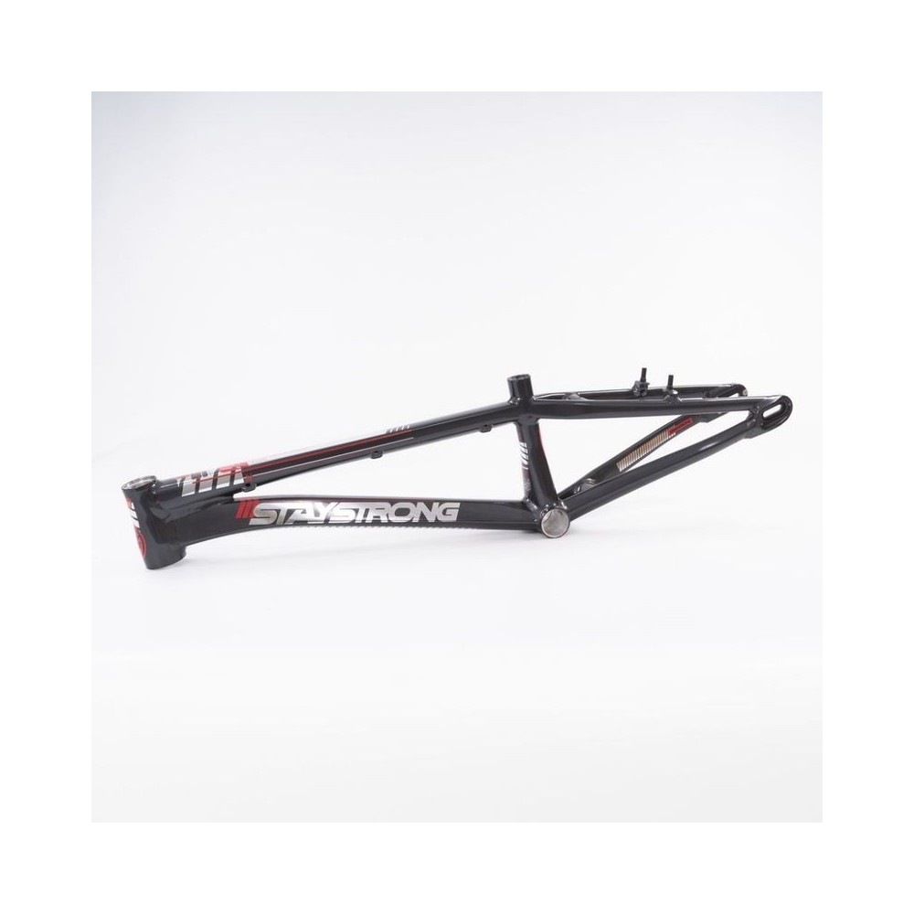 CADRE STAY STRONG FOR LIFE V4 2023 - GRIS